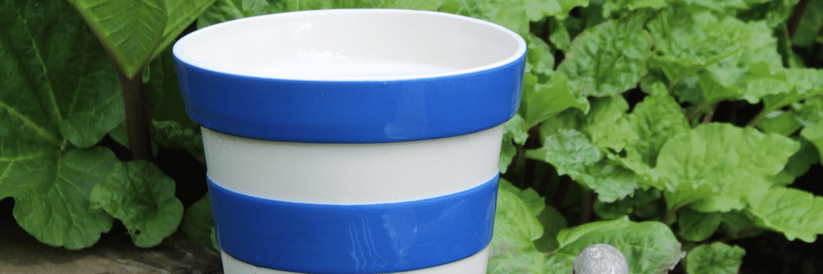 New items at Cornishware