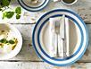 Cornish Blue 32 Piece Dinner Set with mugs Sets